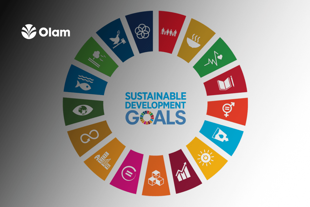 Attaining Sustainability Development Goals with Data and Analytics